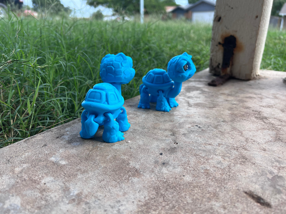 3D Print Turtle Fidget – 5HiveCompany