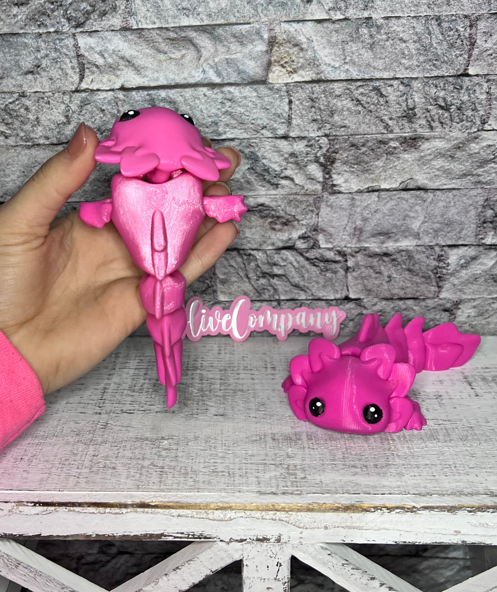 3D Print Axoltol Tadpole Fidget – 5HiveCompany