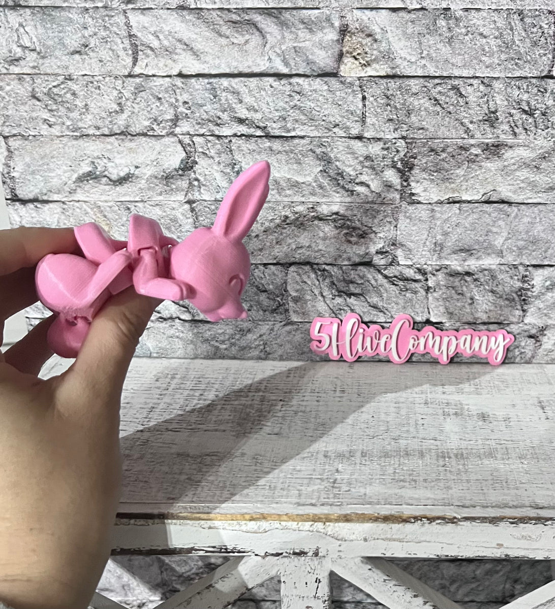 3D Print Bunny Fidget Toy – 5HiveCompany